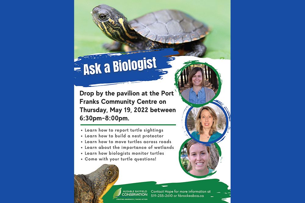 Ask a Biologist Turtle Event
