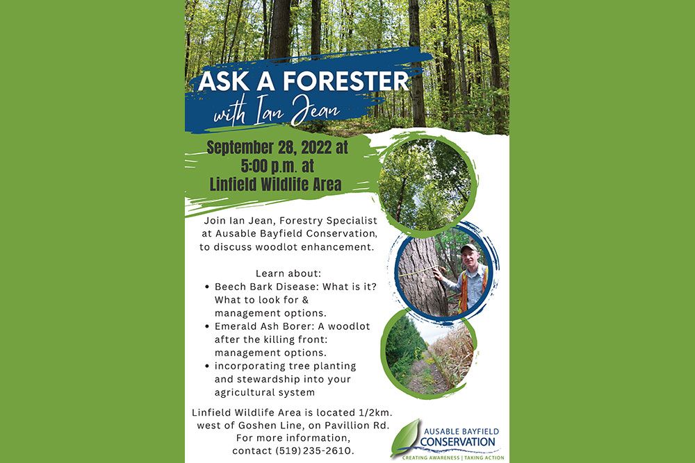 Ask a Forester with Ian Jean
