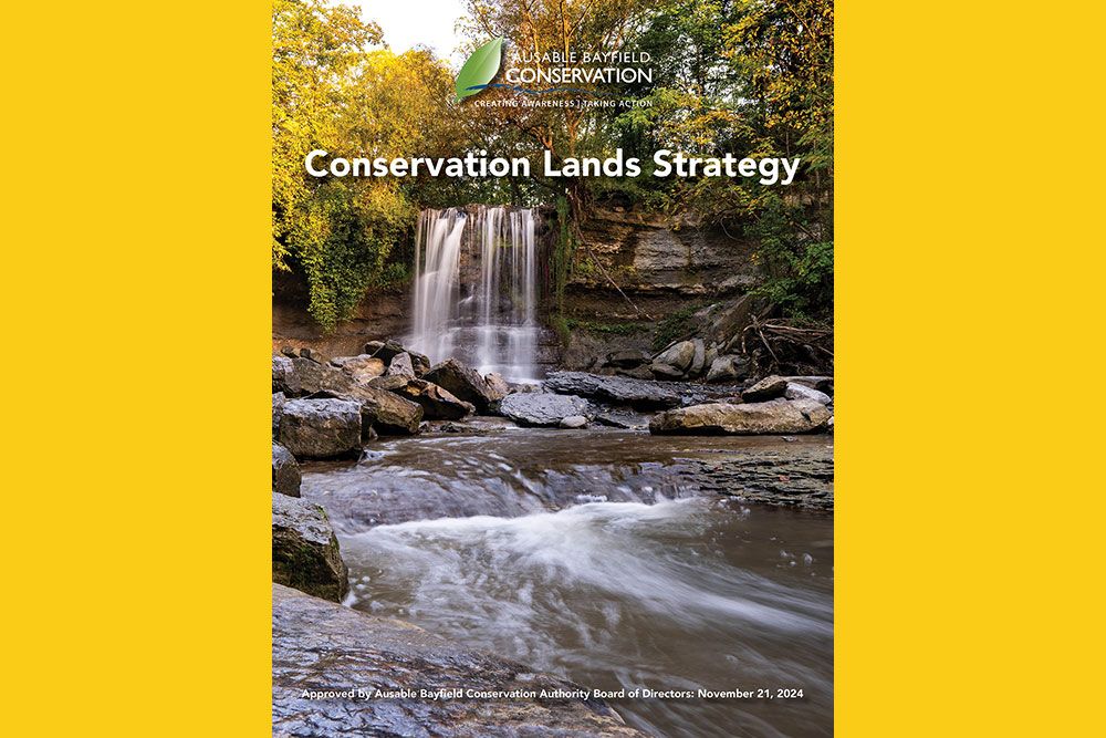 Conservation Lands Strategy