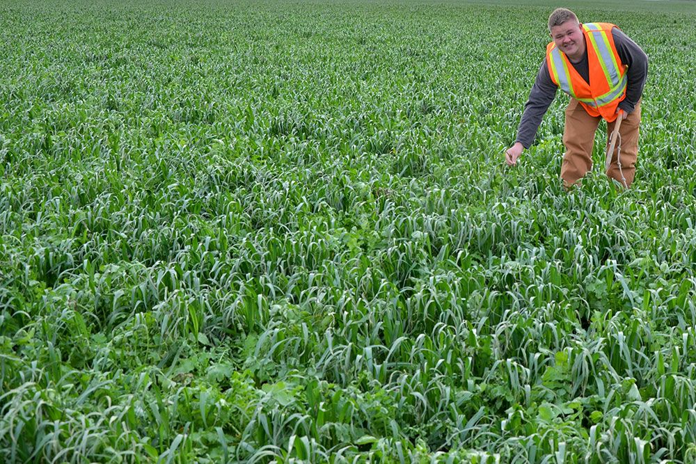 Adopting cover crops in 2020