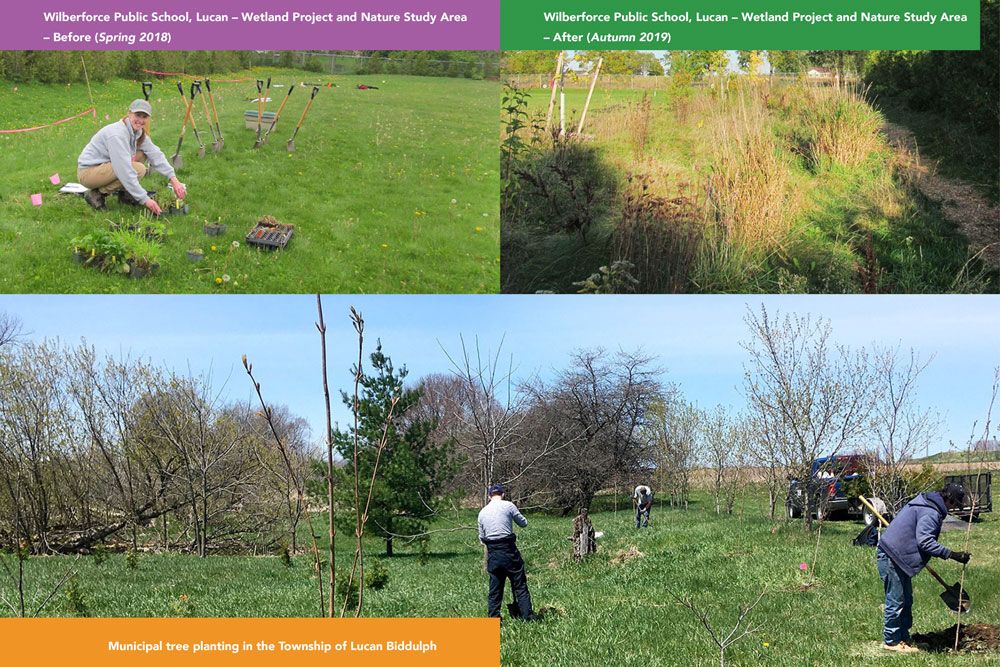 Lucan Biddulph Municipal Feature