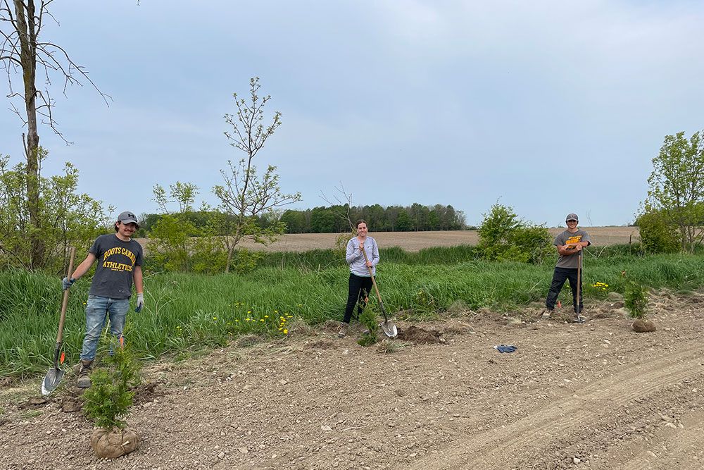 Employment Opportunities