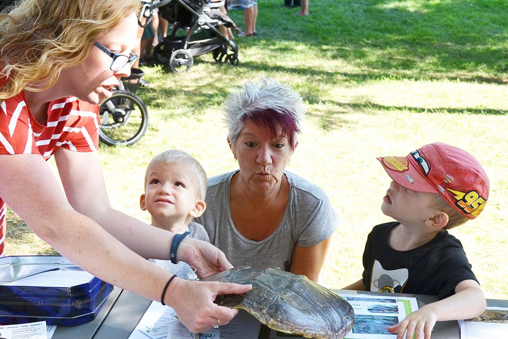 Fourth turtle release event draws record crowd