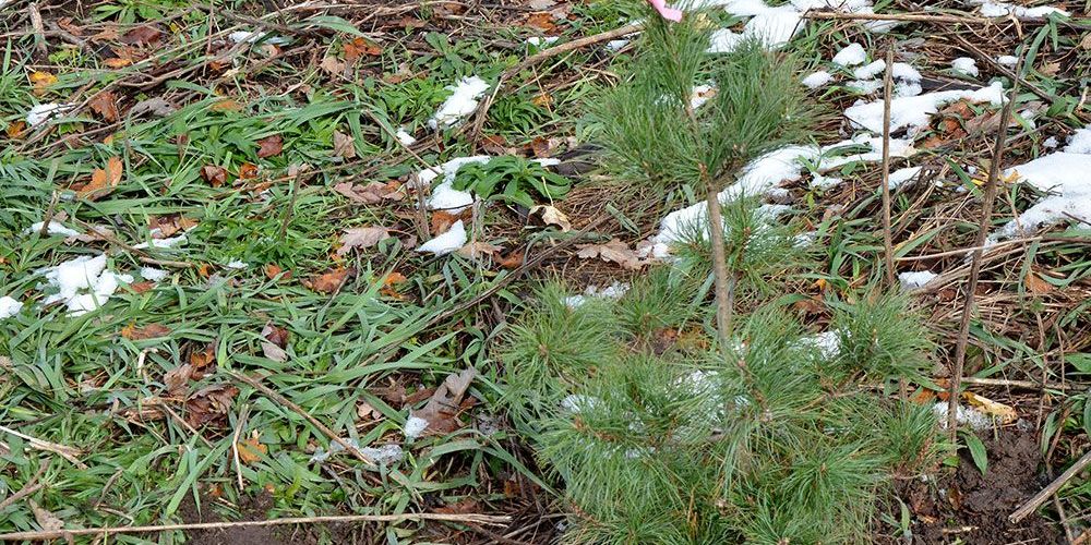 Ausable Bayfield Conservation Authority