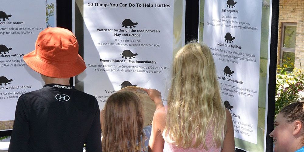 Young people learn about turtles at educational display.