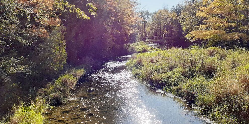 A scenic shot of a river in the watershed.