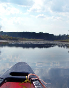 Old Ausable River Channel Watershed